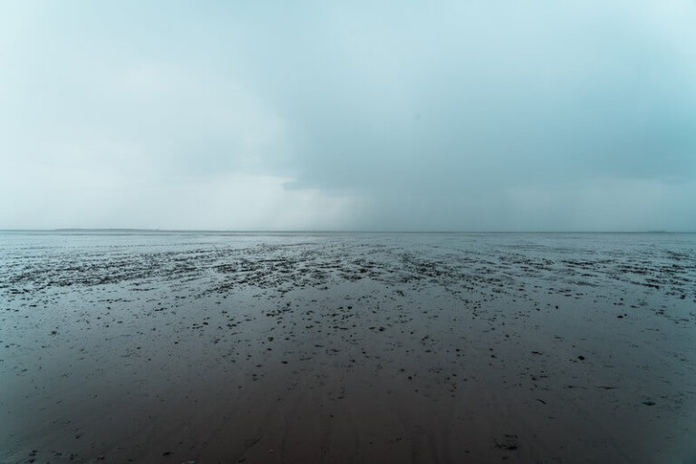 North Sea itinerary: 1 week road trip along Germanys coast