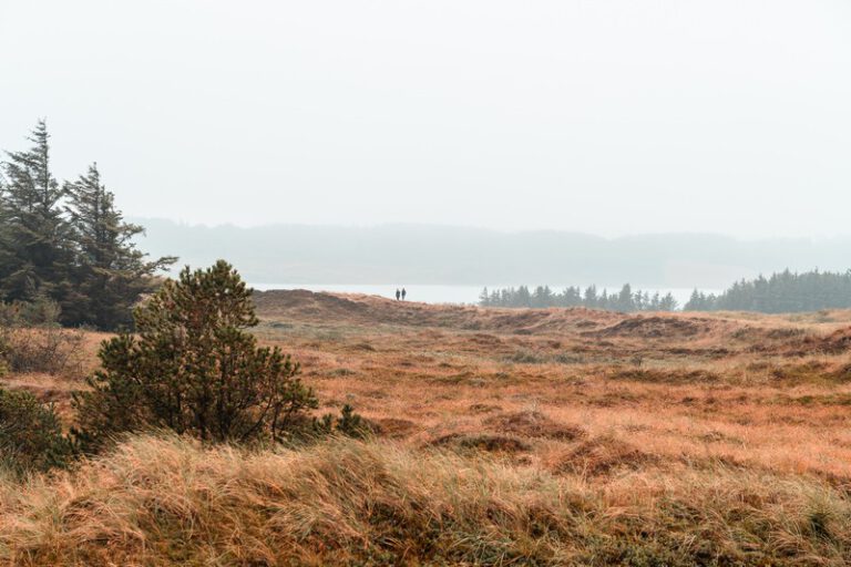 Dänische Diamanten: 28 geniale Dänemark Sehenswürdigkeiten