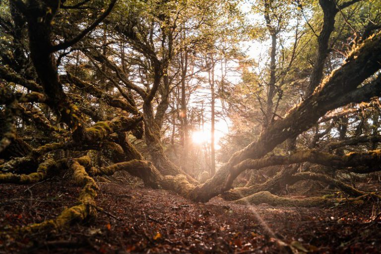 Dänische Diamanten: 28 geniale Dänemark Sehenswürdigkeiten