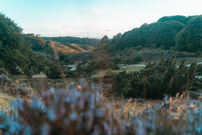 Dänische Diamanten: 28 geniale Dänemark Sehenswürdigkeiten